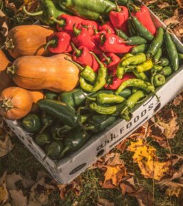 BRAND NEW Elevated Kosher Farm-to-Table Restaurant Opening in Miami ...